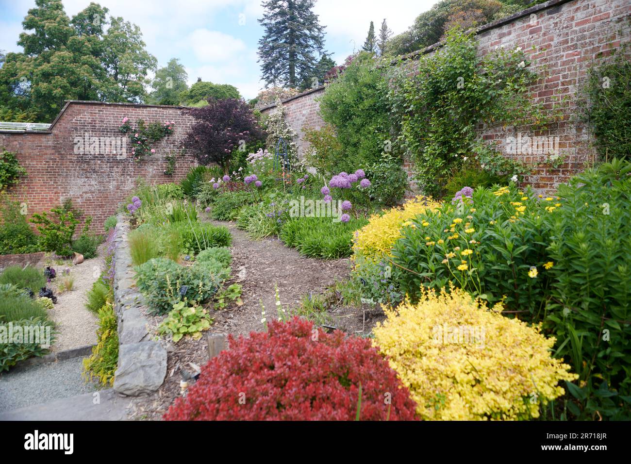 Formal borders of a walled garden in full flowering shrubs and plants ...