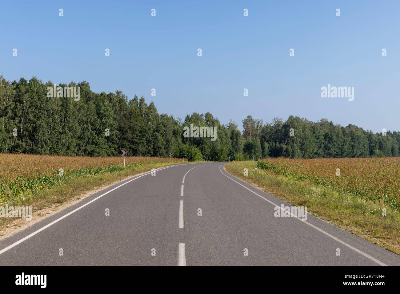 Paved road through the forest, a high quality road for traffic in rural ...