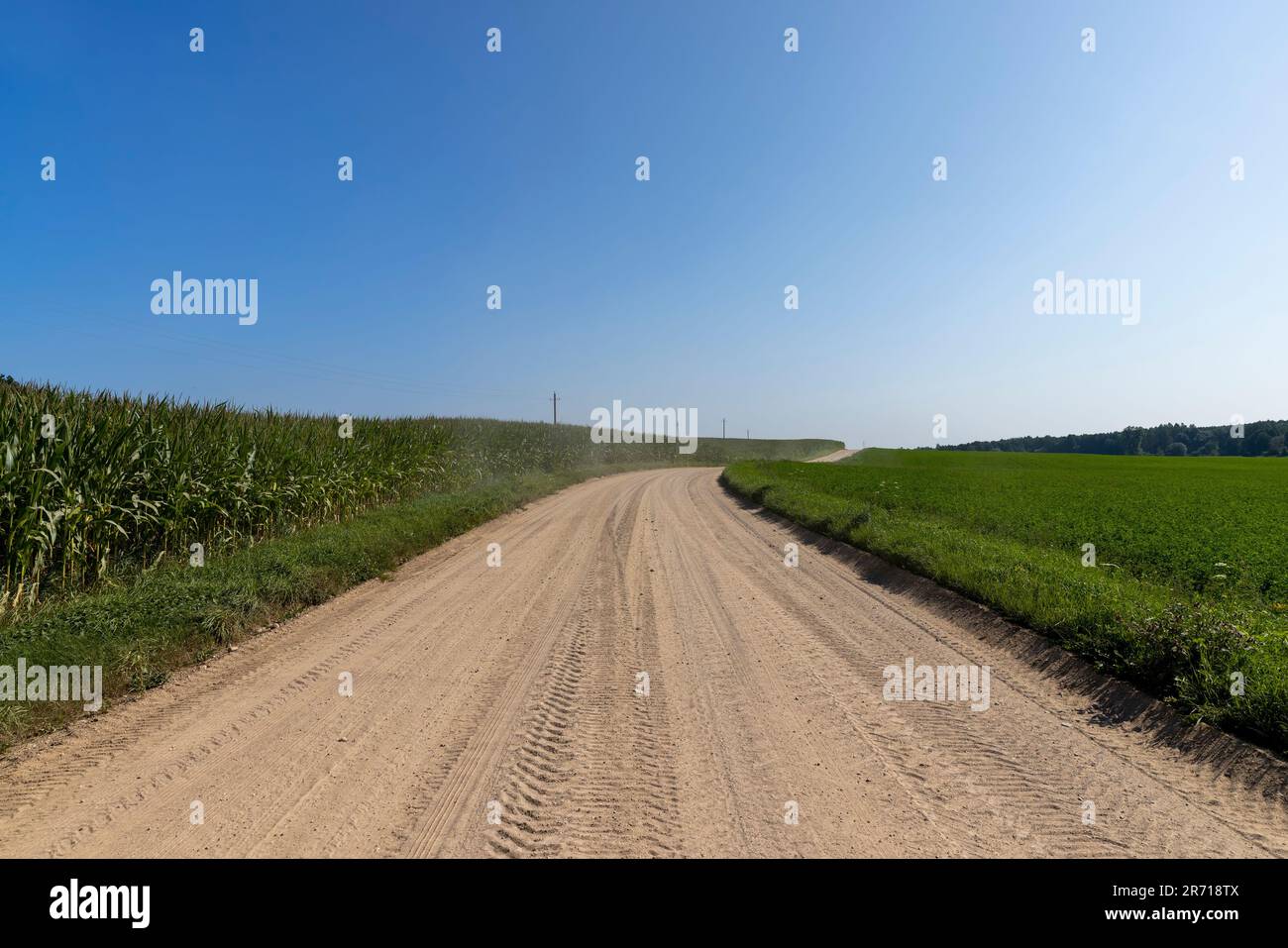 Rural road for cars and transport, ruts and traces of cars on a sandy ...