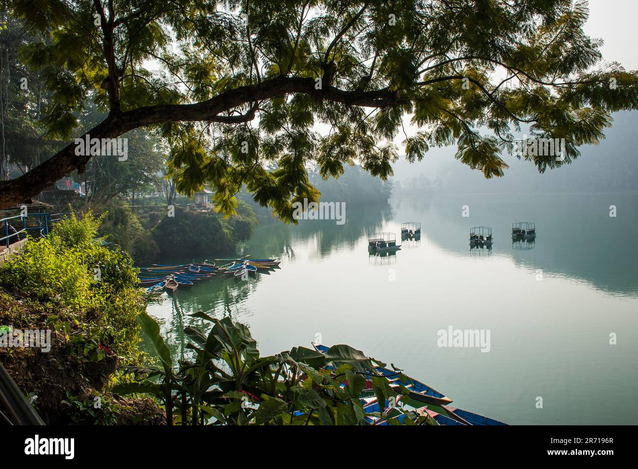 Phewa lake. pokhara. nepal Stock Photo - Alamy