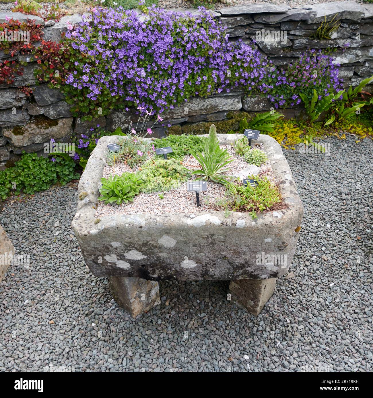 Stone troughs hi-res stock photography and images - Alamy