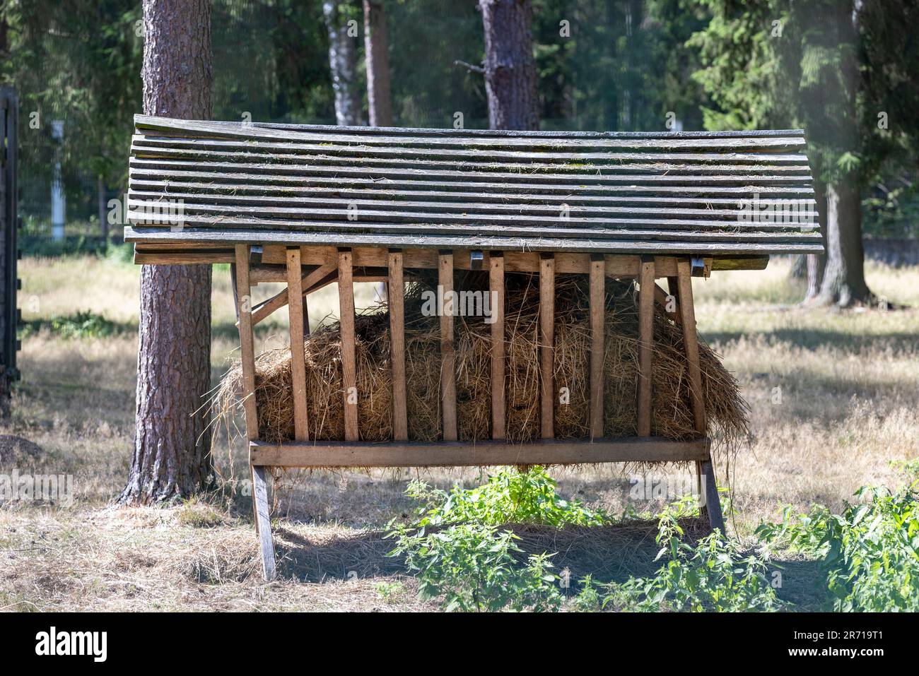 wooden feeder with hay for feeding wild herbivores, wooden feeders in ...
