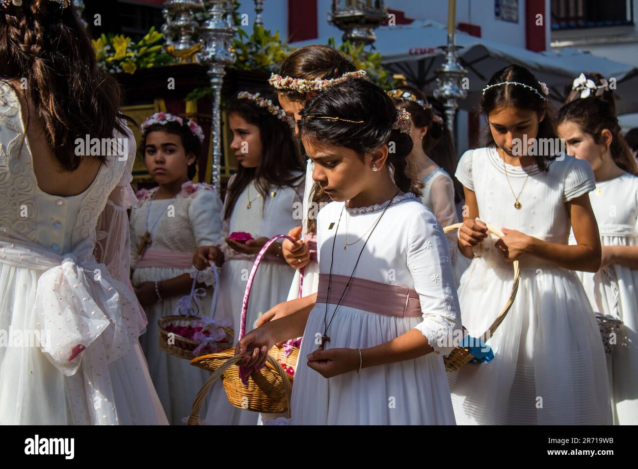 Young children participating at the Corpus Christi procession, an age ...