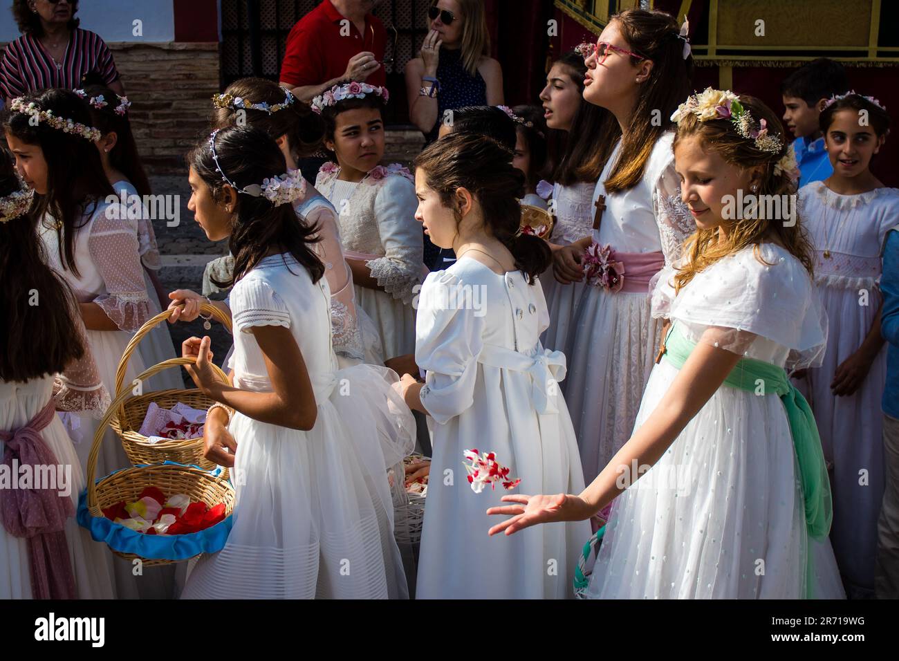 Young children participating at the Corpus Christi procession, an age ...