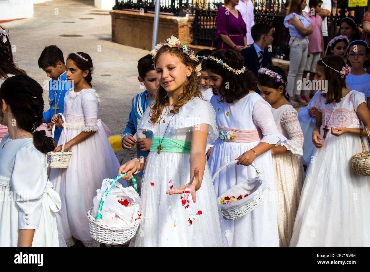Young children participating at the Corpus Christi procession, an age ...