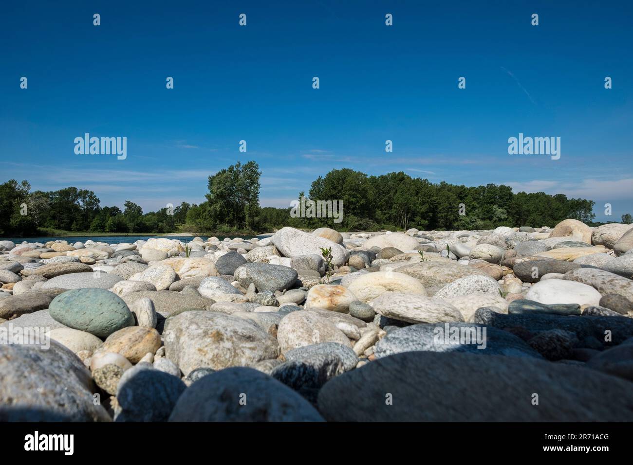 Parco naturale lombardo della valle del ticino. castelletto di cuggiono ...