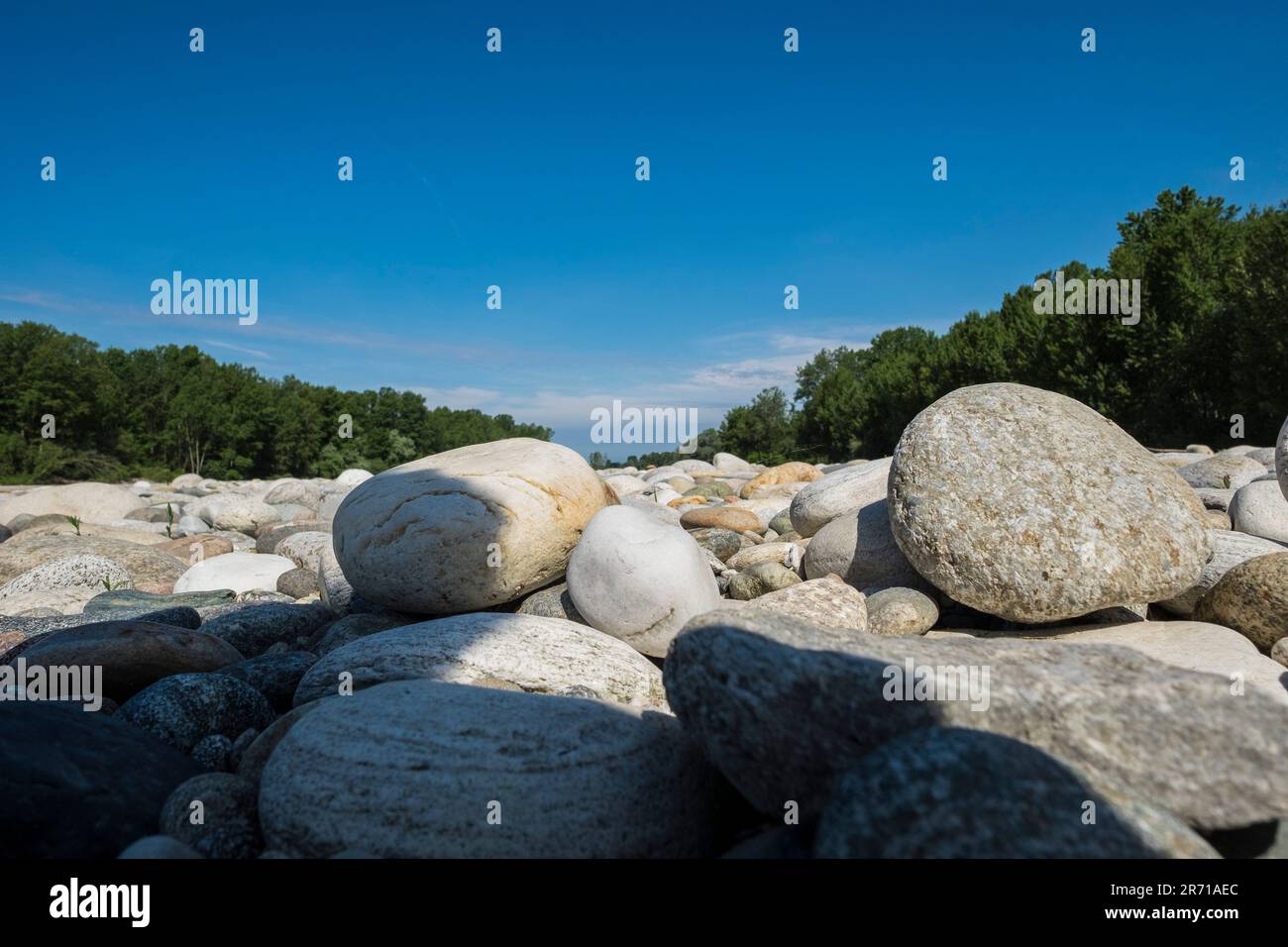 Parco naturale lombardo della valle del ticino hi-res stock photography ...