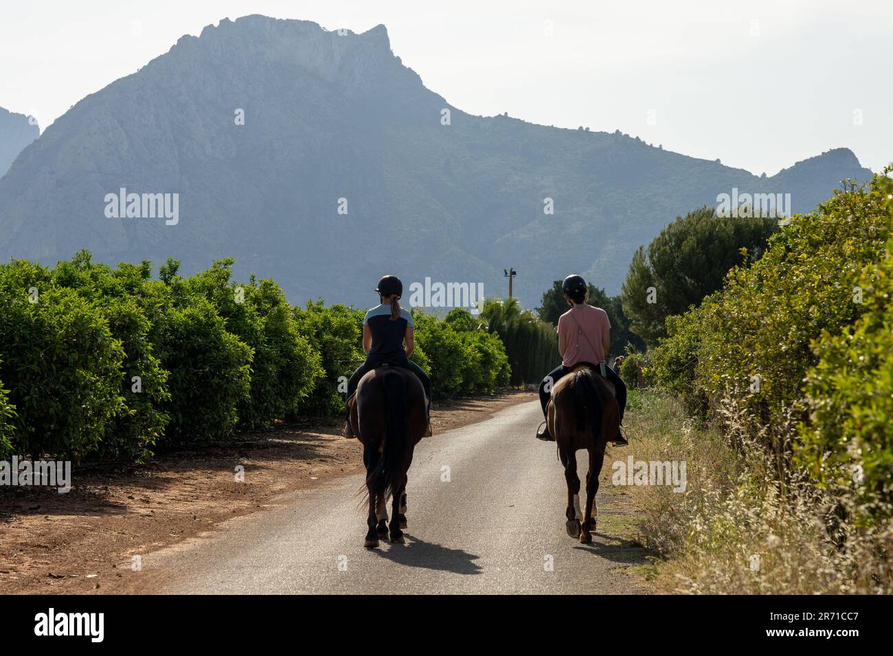 two horse riders in a spanish landscape along a vineyard with mountains ...