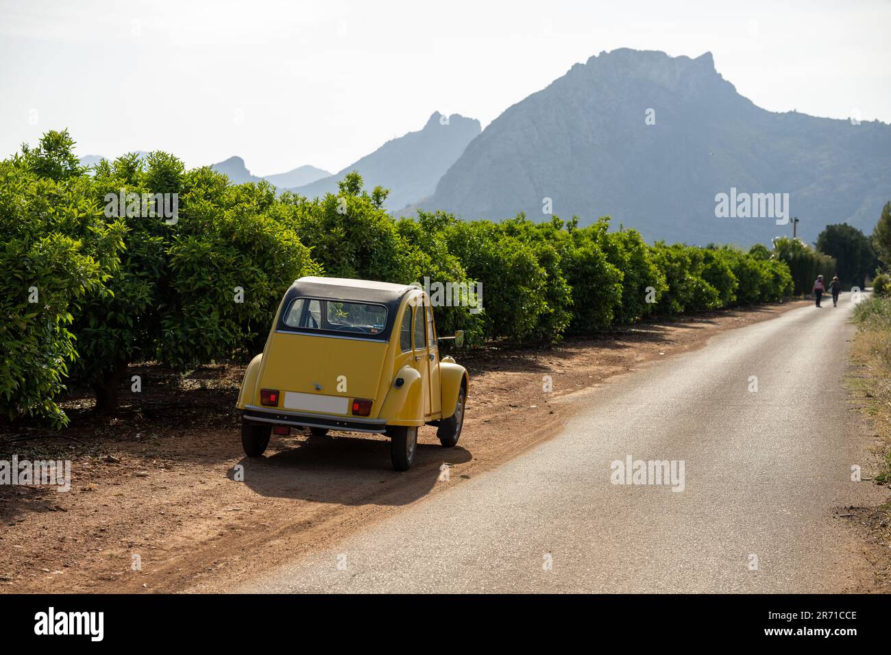 Classic Deux Chevaux Citroën 2CV in a Spanish landscape with vineyards ...