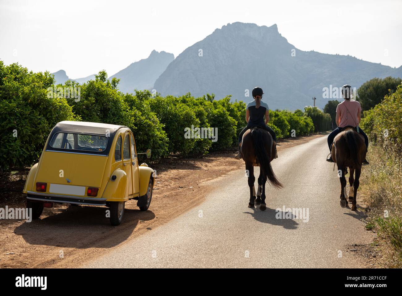 Classic Deux Chevaux Citroën 2CV in a Spanish landscape with vineyards ...