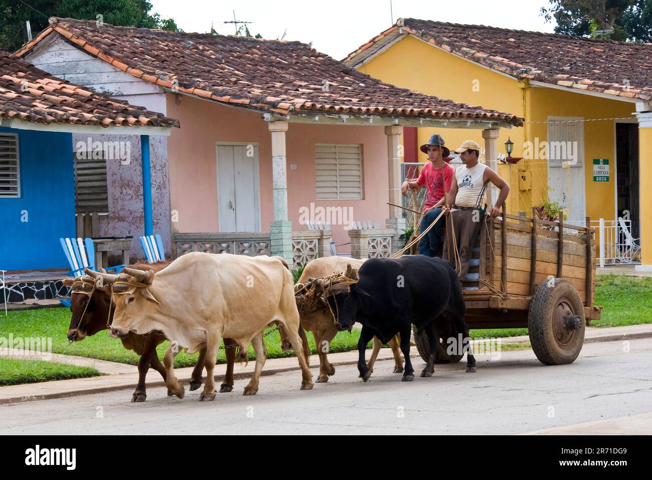 Farmers with cows latin america hi-res stock photography and images - Alamy