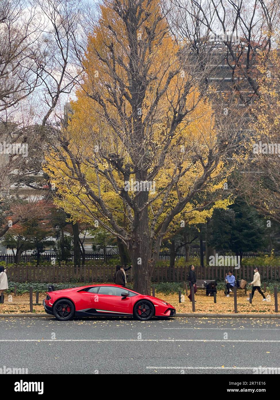 A luxury red sports car parked at the side of a street in Tokyo, Japan ...