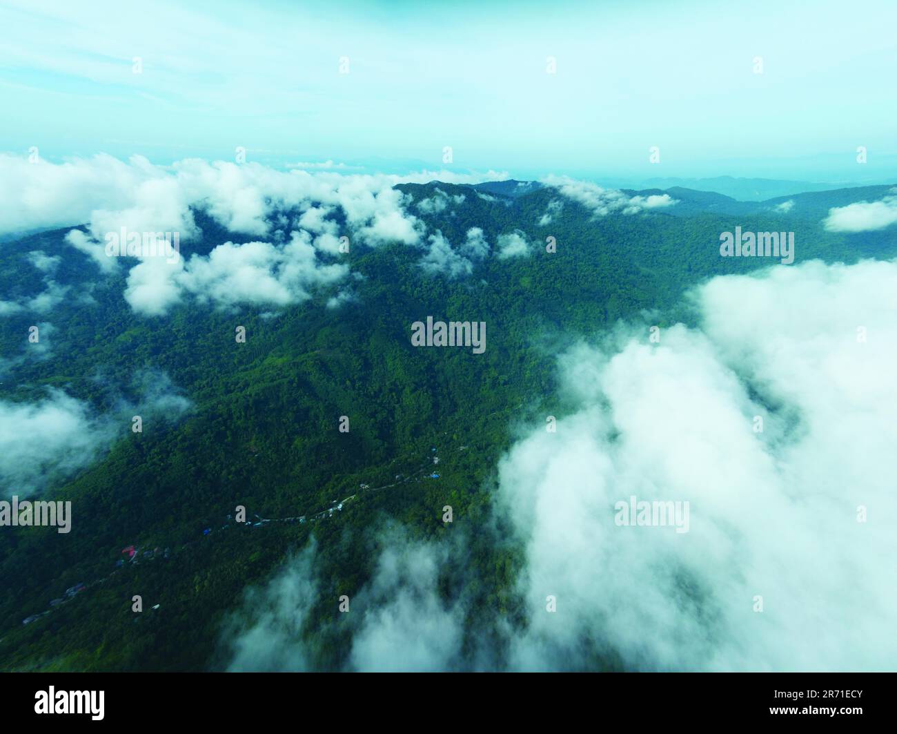 Aerial view of flowing fog waves on mountain tropical rainforest,Bird ...