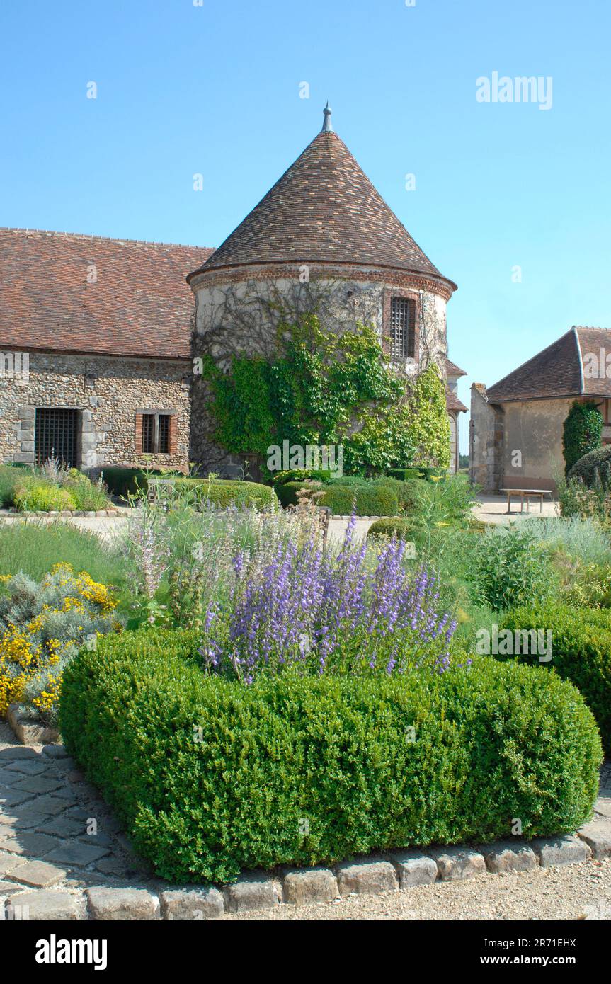 Square of Boxwood (Buxus sp) and flowers, Medieval Garden of Bois ...