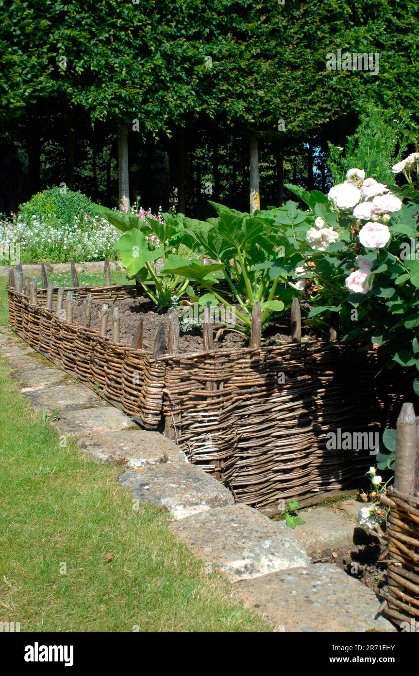 Vegetable plant and flowers in raised plessis squares, Medieval Garden ...