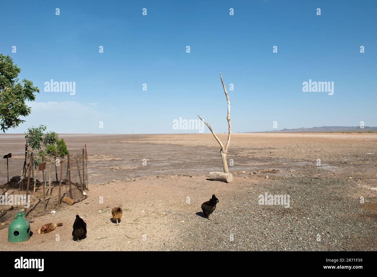 Qom lake hi-res stock photography and images - Alamy