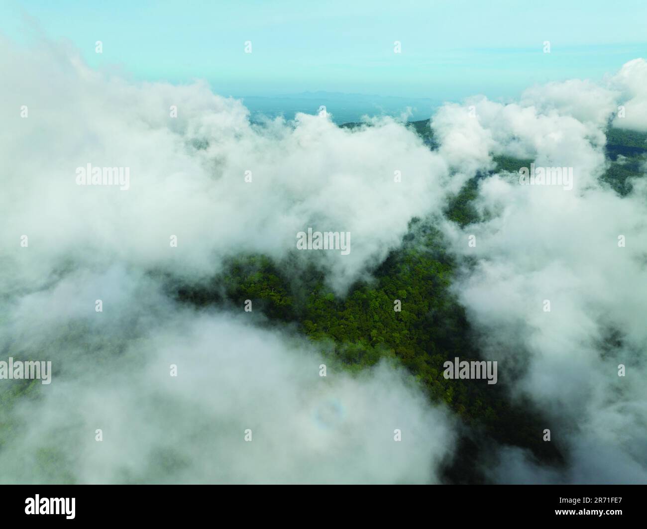 Aerial view of flowing fog waves on mountain tropical rainforest,Bird ...