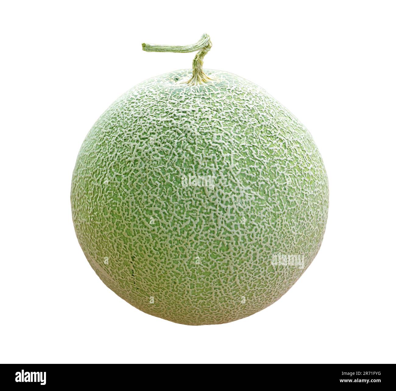 Fresh Ripe Muskmelon or Cantaloupe Melon Fruit with Stem Isolated on ...