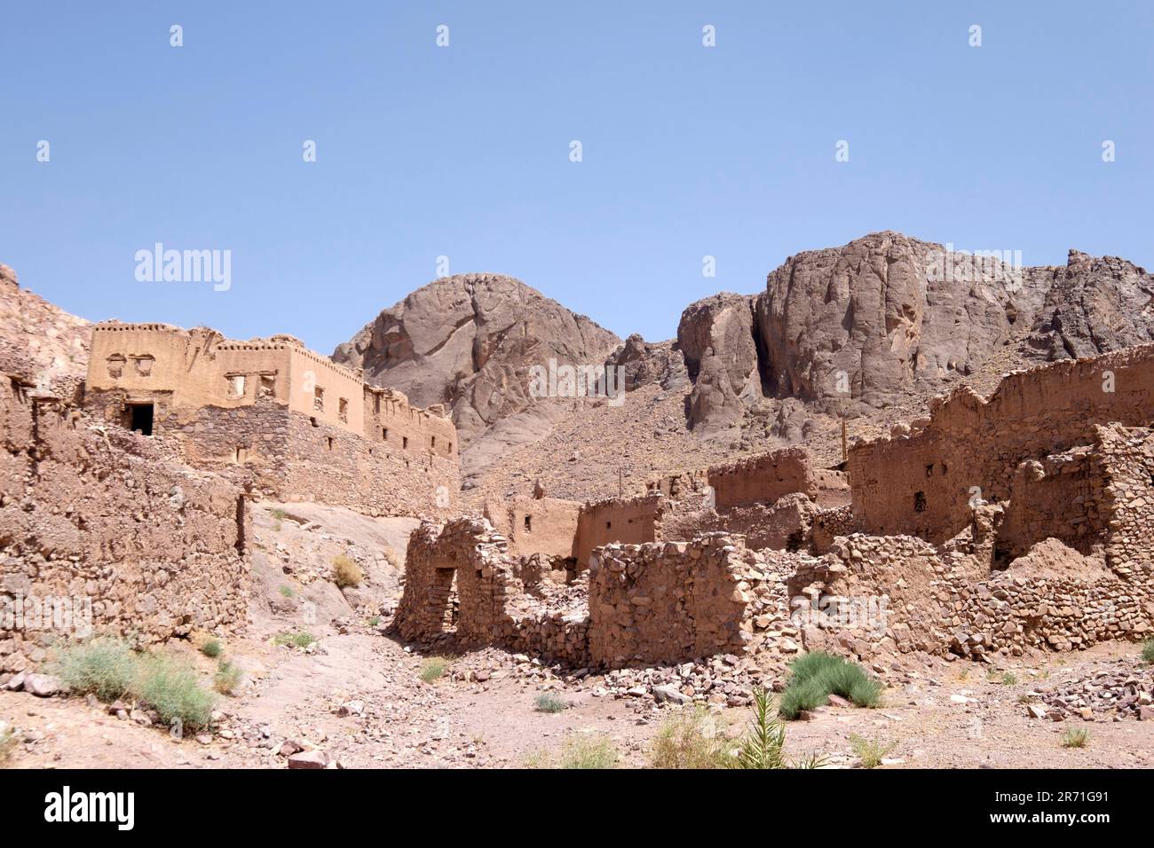 Fint hi-res stock photography and images - Alamy