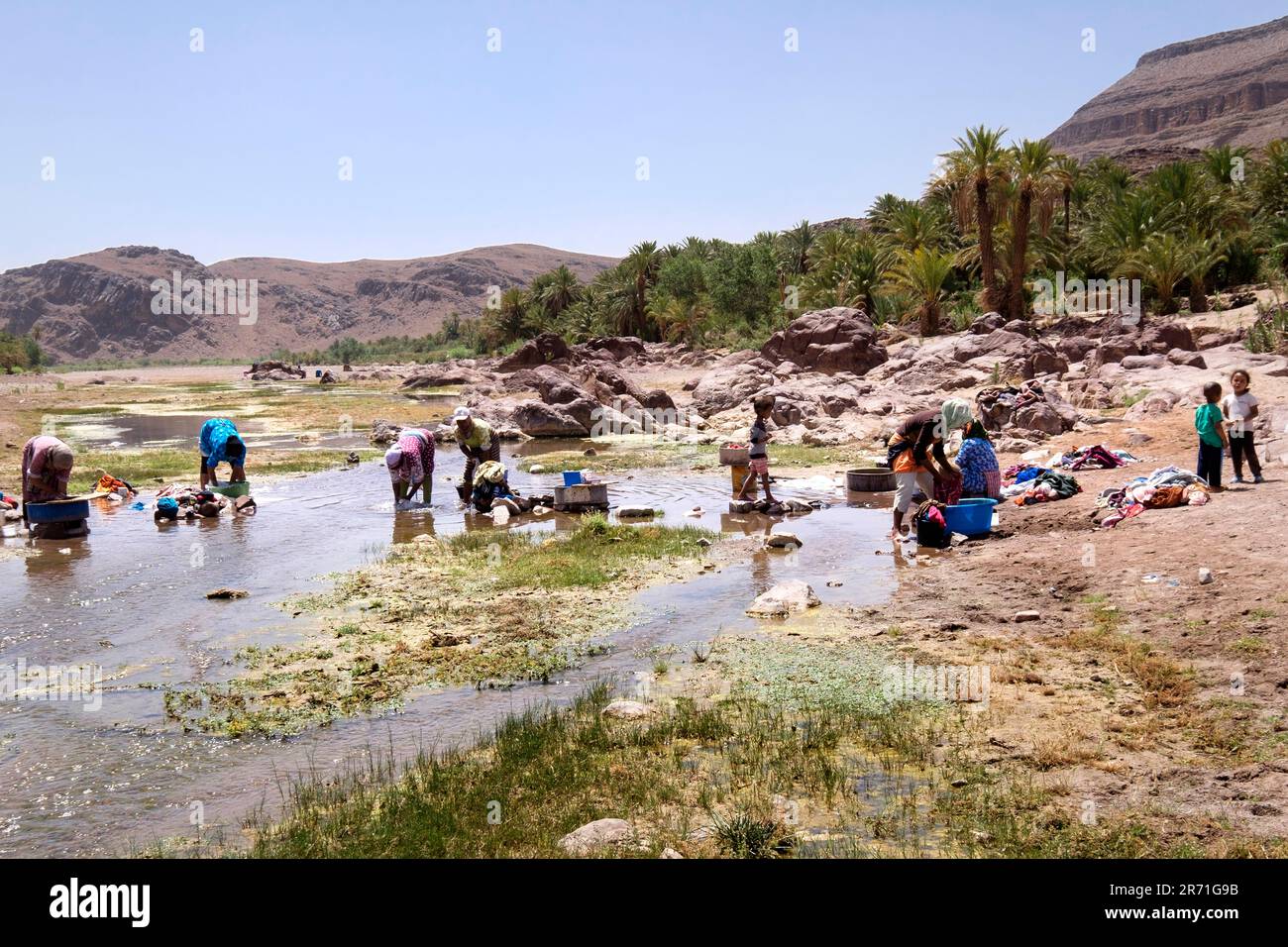 Fint hi-res stock photography and images - Alamy