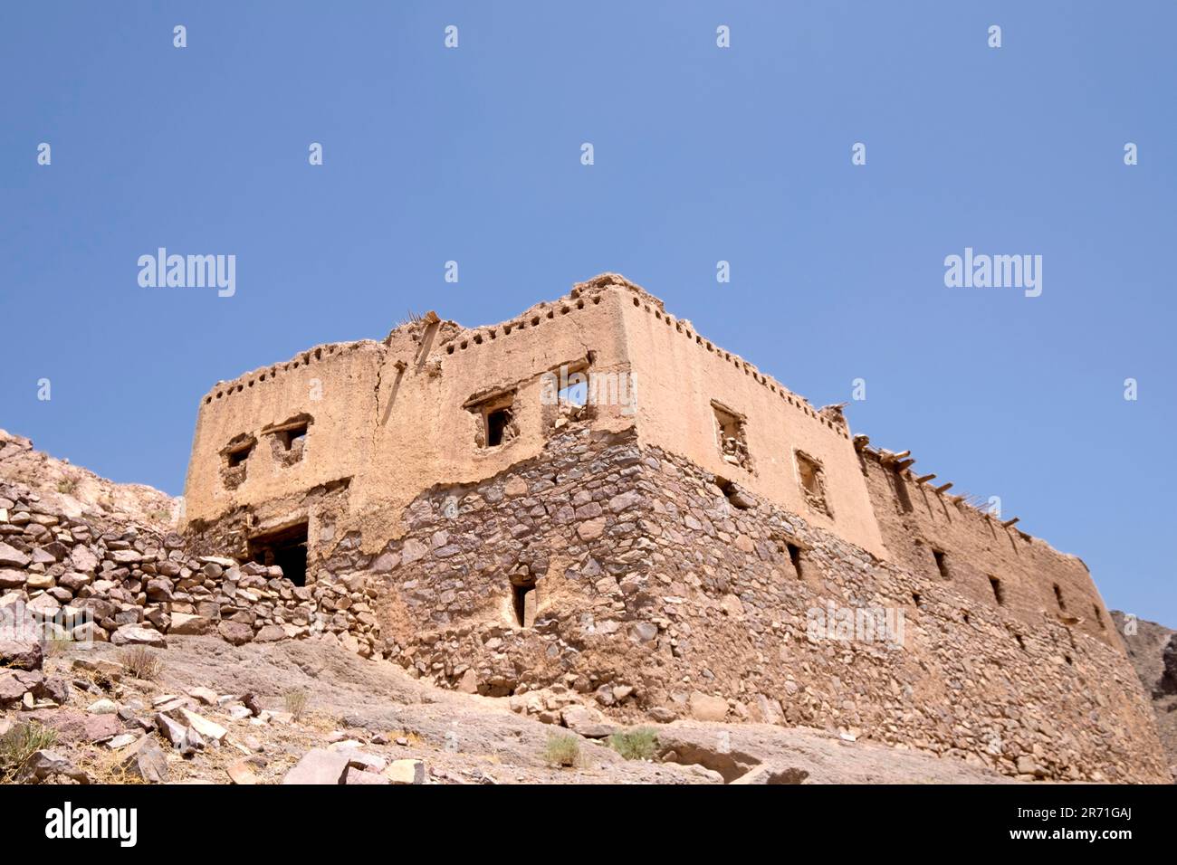 Fint hi-res stock photography and images - Alamy