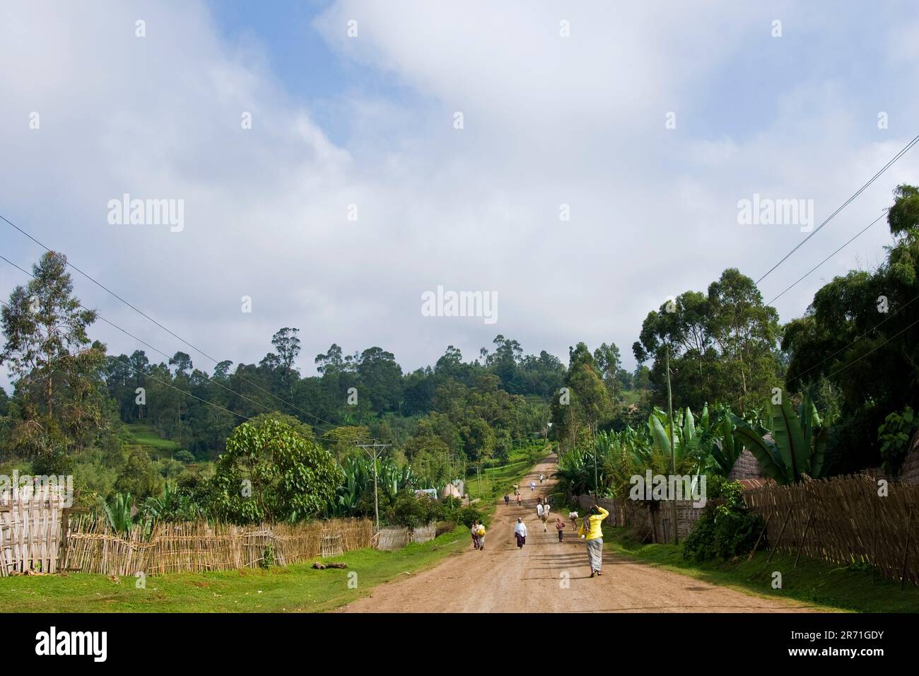Dorzè land, Chencha, Ethiopia Stock Photo - Alamy