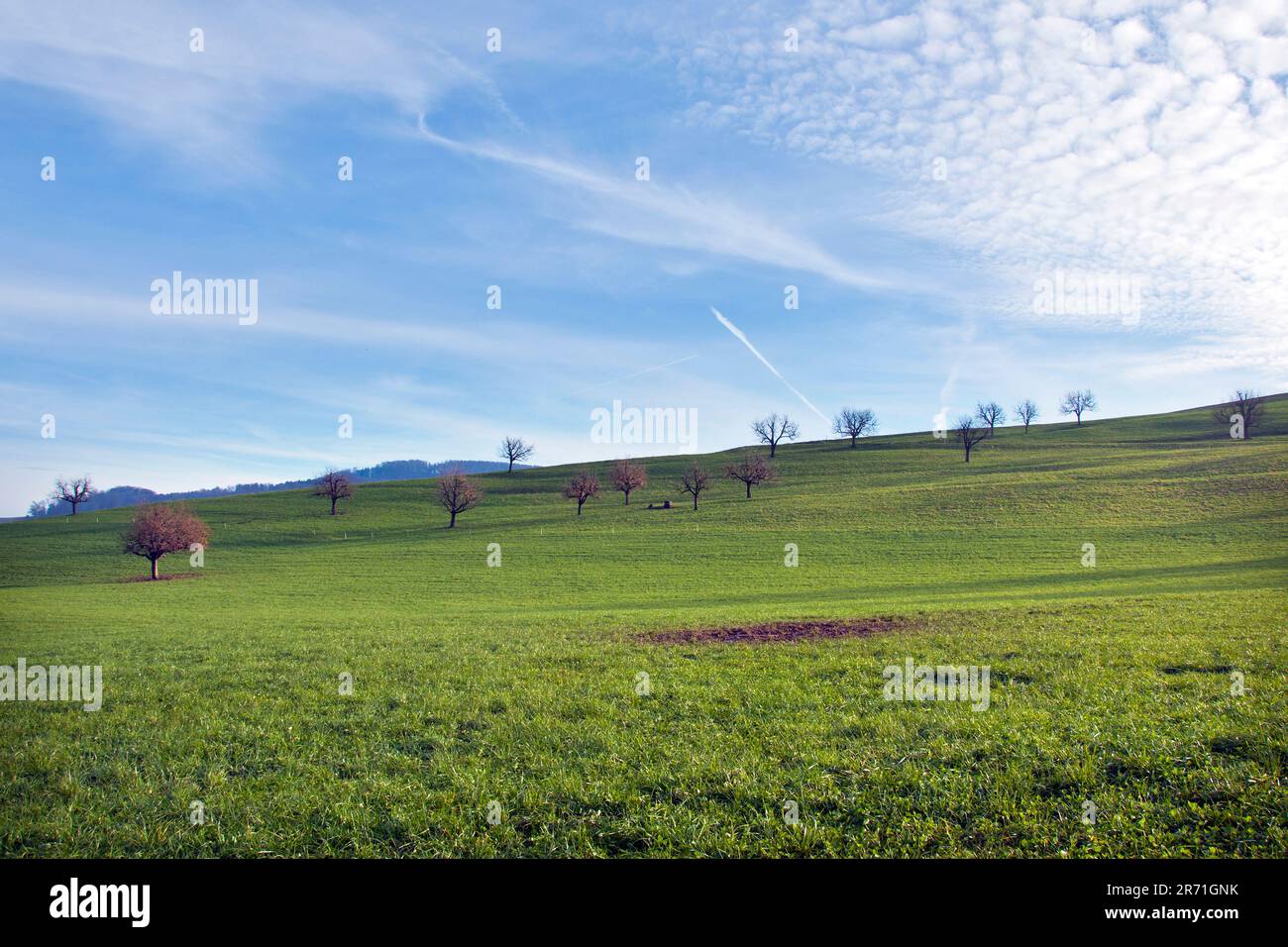 Switzerland, Canton Basel Country, surrounding of Arisdorf, landscape ...