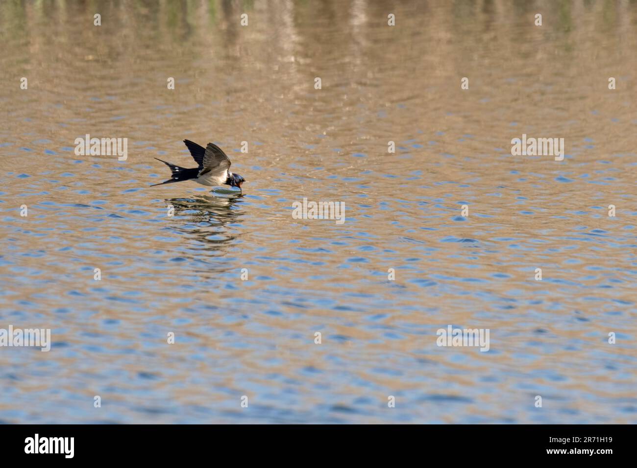 Water catching hi-res stock photography and images - Alamy