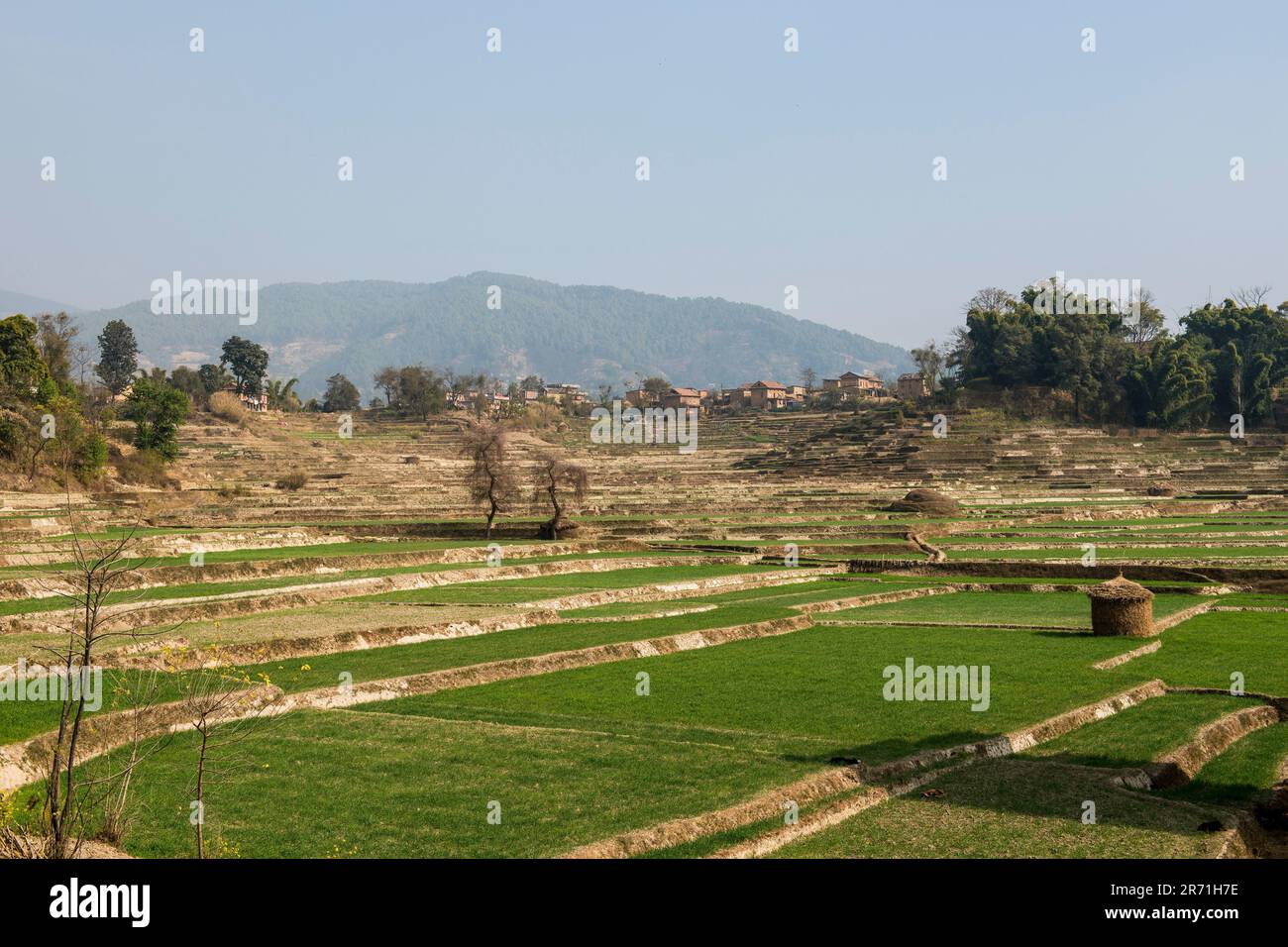 Tathali hi-res stock photography and images - Alamy