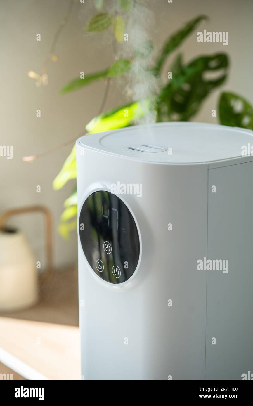 Modern humidifier at home, moistens dry air surrounded by indoor plant ...
