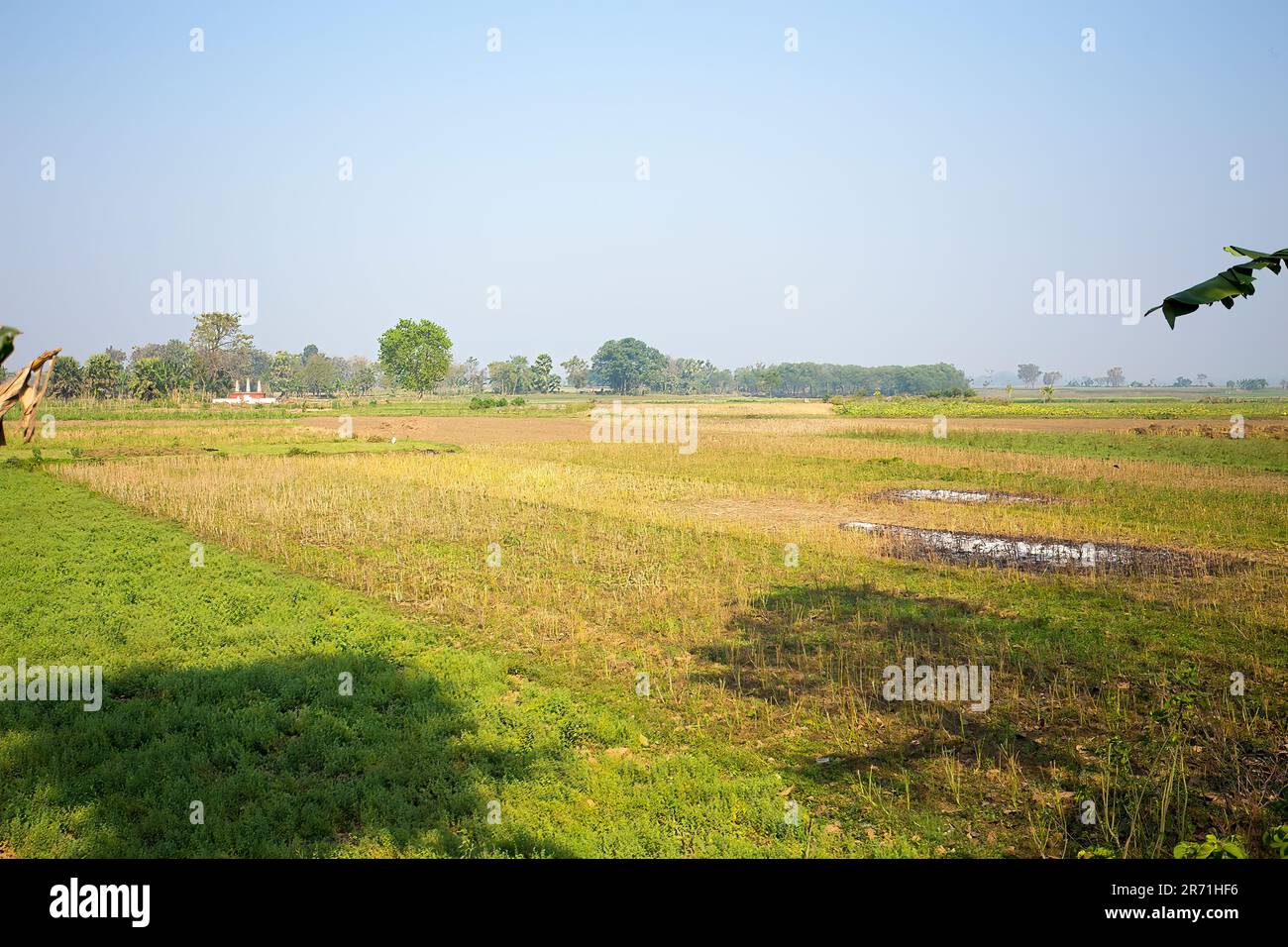 Where modern Indian began? (the field where the battle was fought Stock ...