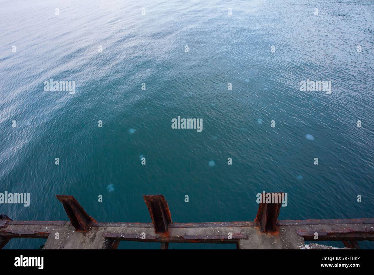 Top view jellyfish hi-res stock photography and images - Alamy