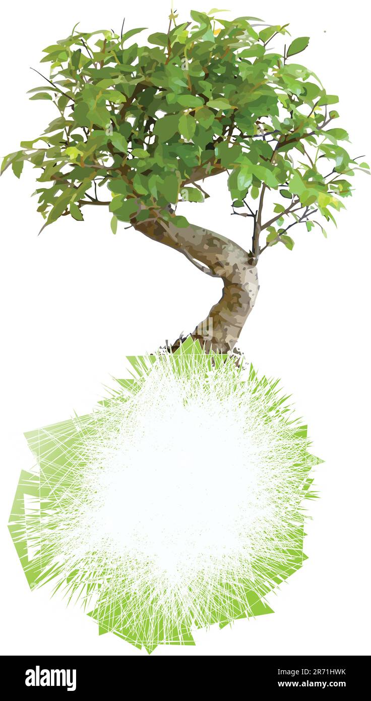 Illustrated tree Stock Vector Images - Alamy