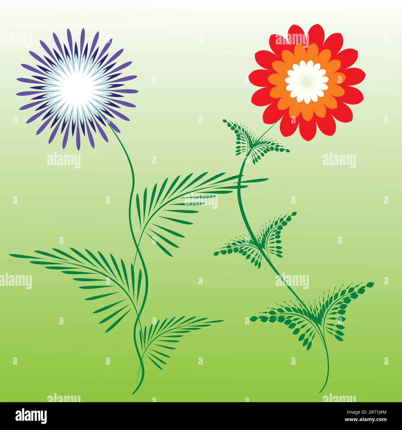 color vector image of two different flowers Stock Vector Image & Art ...