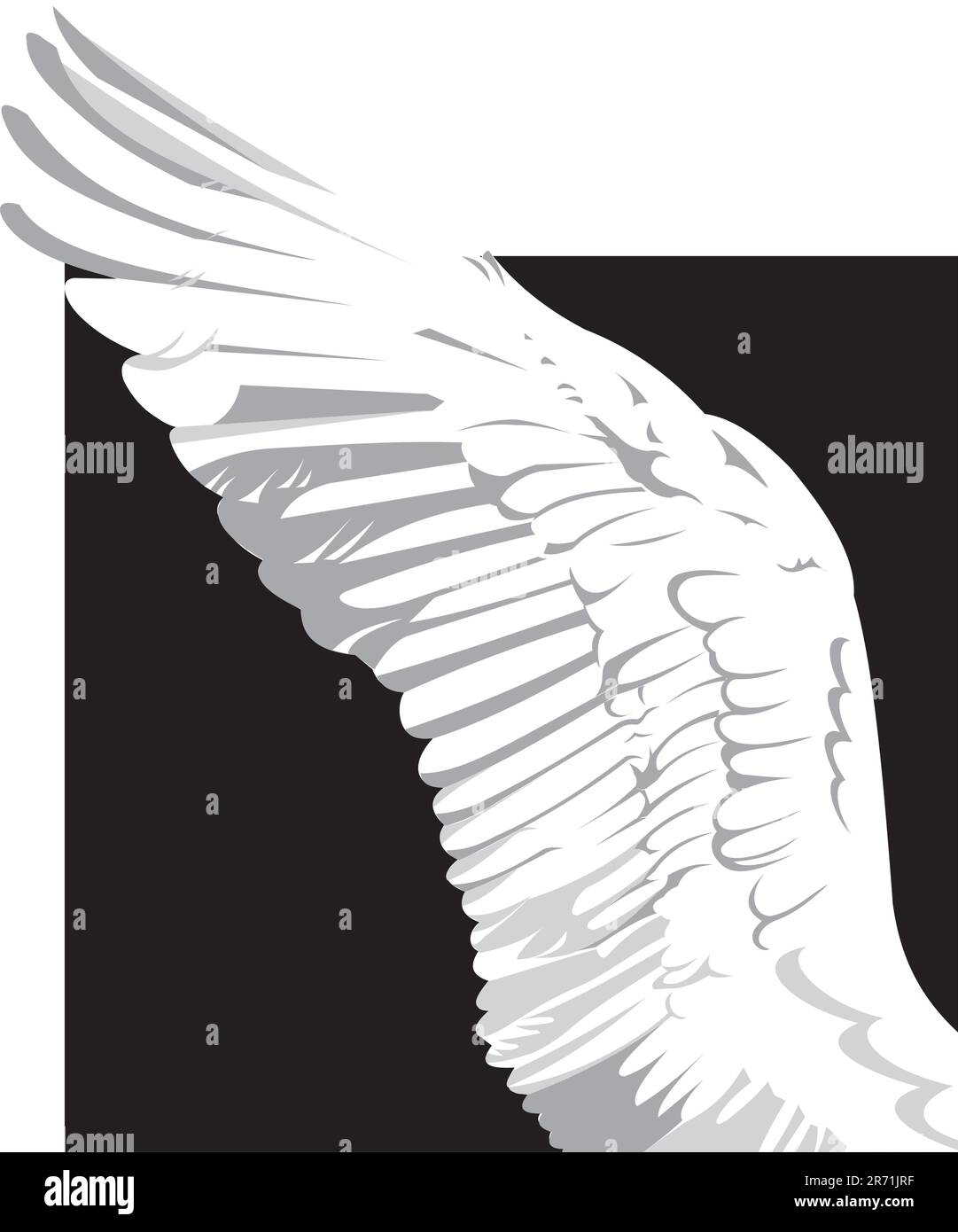 Wing vector illustration Stock Vector Image & Art - Alamy