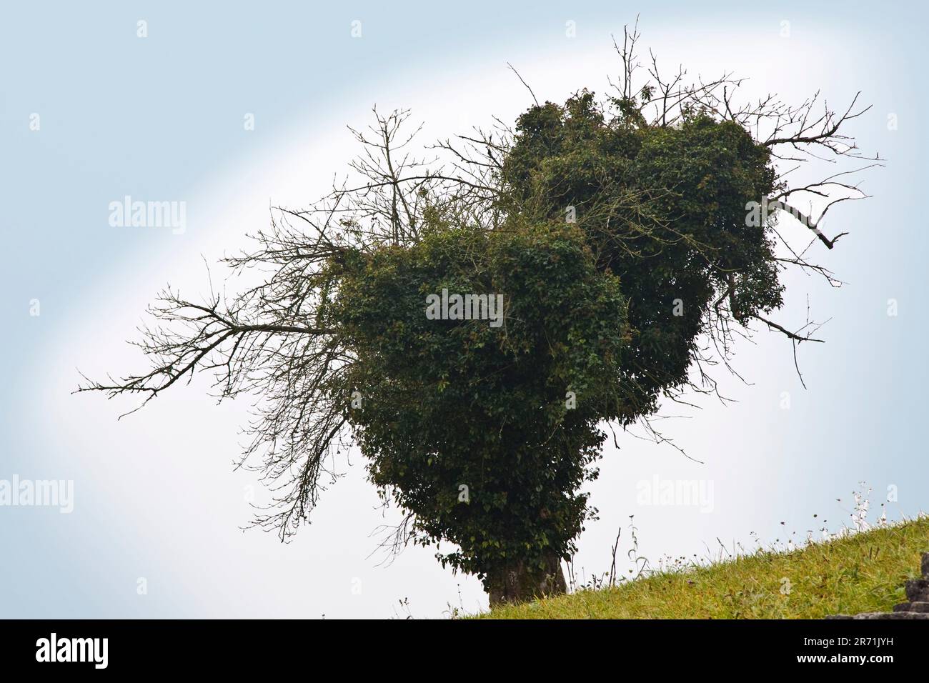 Archaeological site, Augusta Raurica, Augst, Switzerland Stock Photo ...