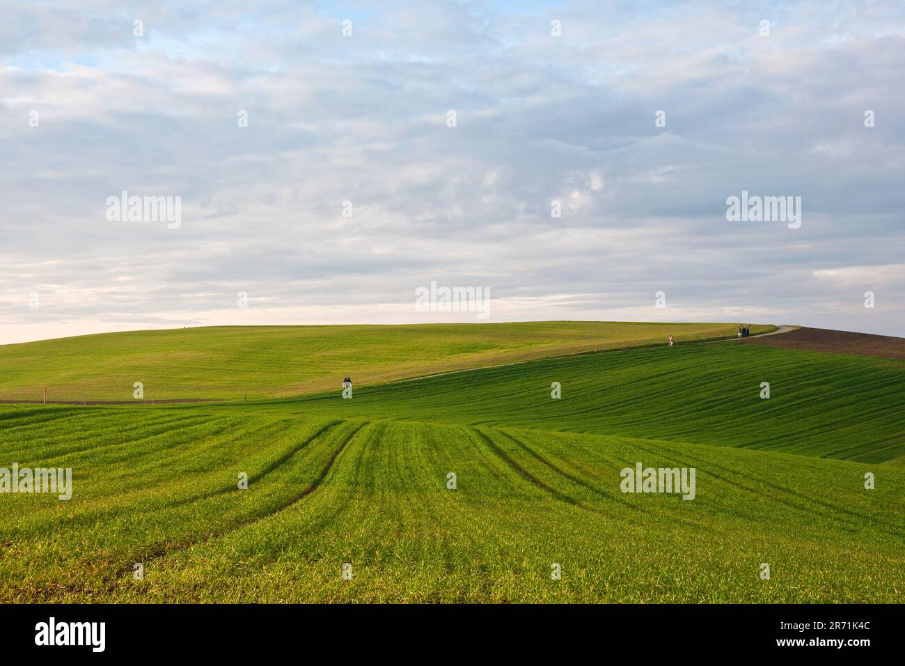 Europe switzerland canton basel hi-res stock photography and images - Alamy