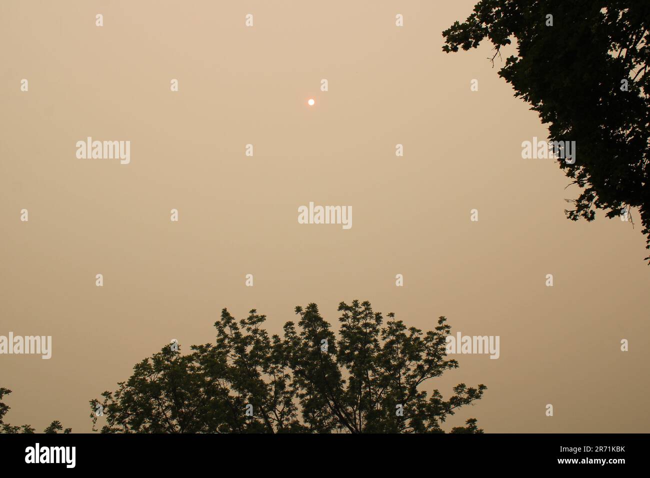 A Red Sun Viewed Through Wildfire Smoke Stock Photo - Alamy