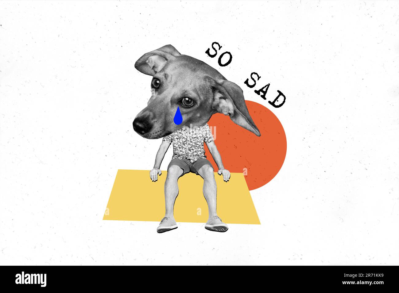 Placard collage picture of headless man sad dachshund unhappy want be ...