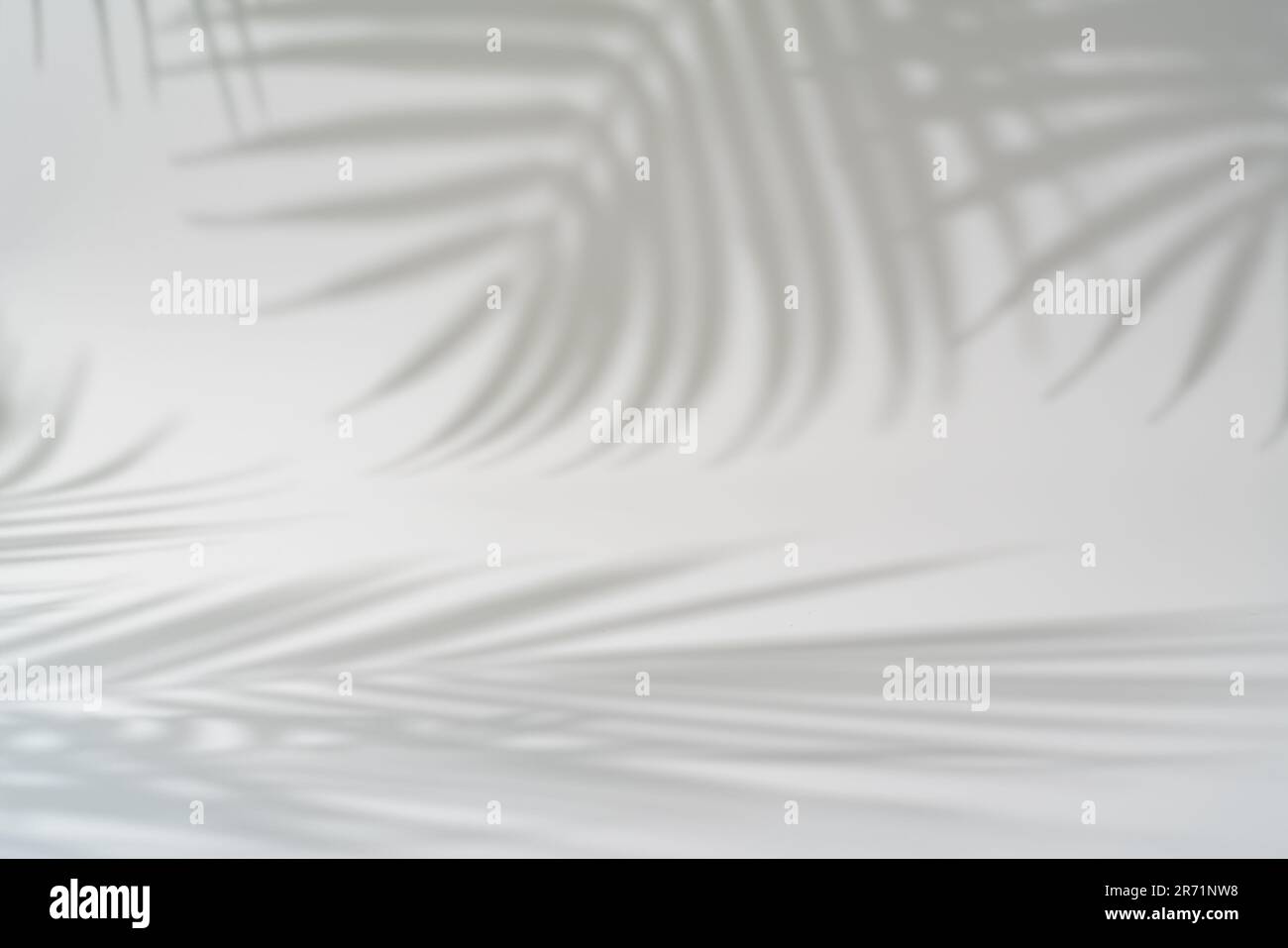 Shadow of tropical leaves Stock Photo - Alamy