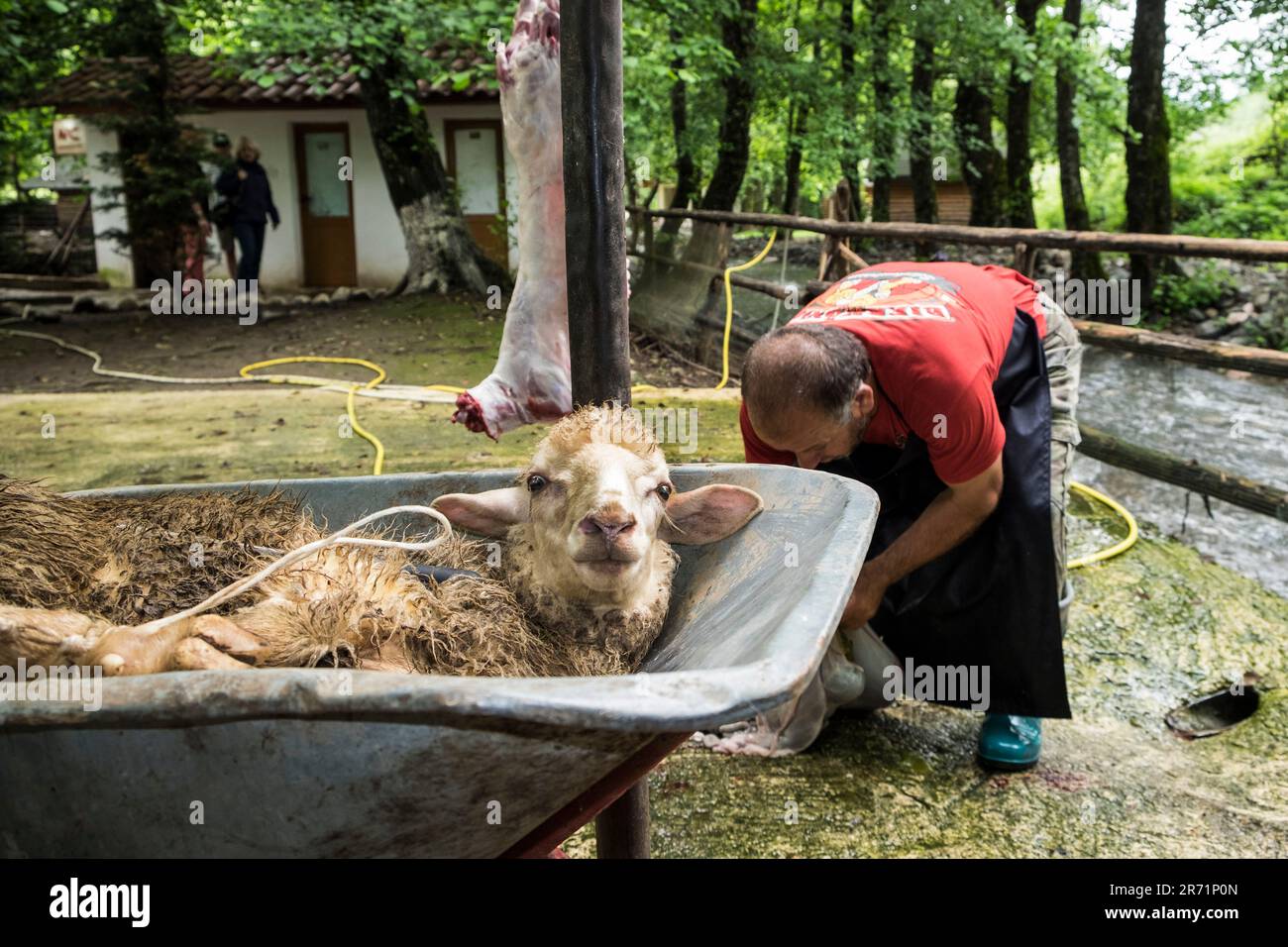 Butcher sheep hi-res stock photography and images - Alamy
