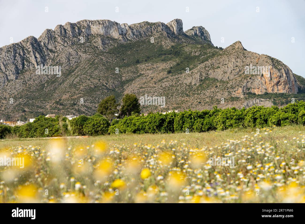 Indian nose hi-res stock photography and images - Alamy