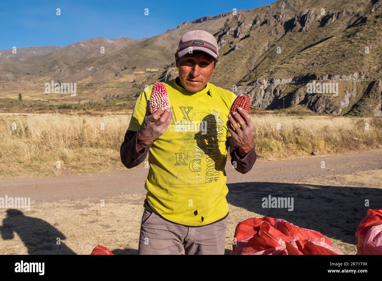 Agriculture farmer peru hi-res stock photography and images - Alamy