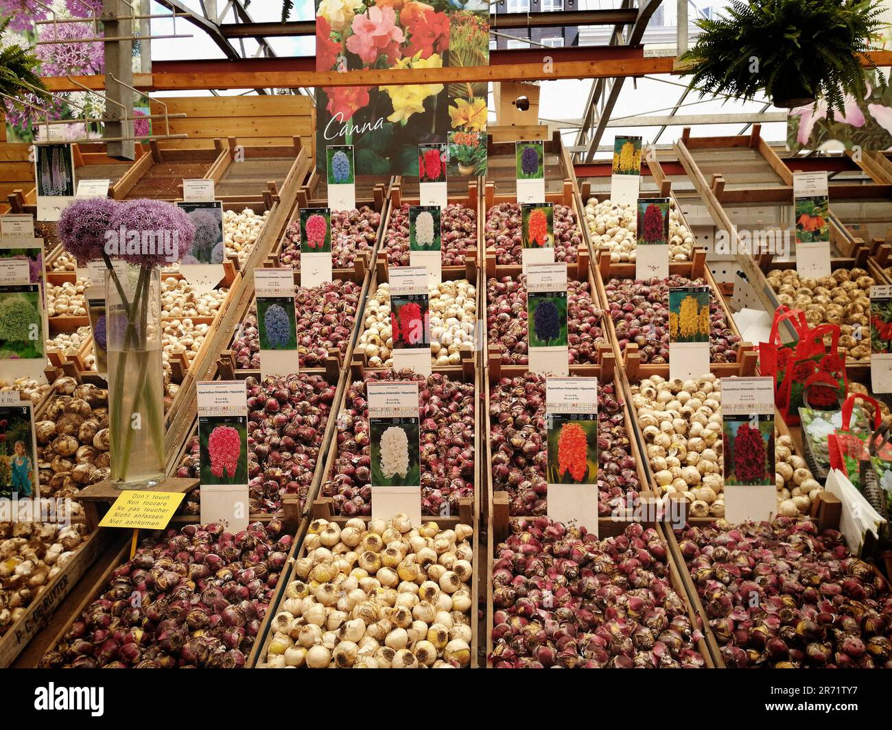 Bloemenmarkt. floating flower market. amsterdam. holland Stock Photo ...