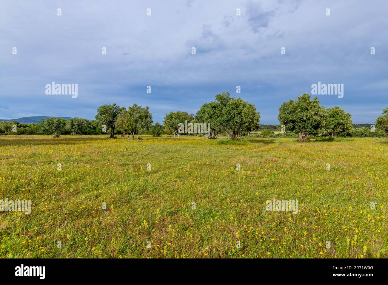 Fatima fields hi-res stock photography and images - Alamy