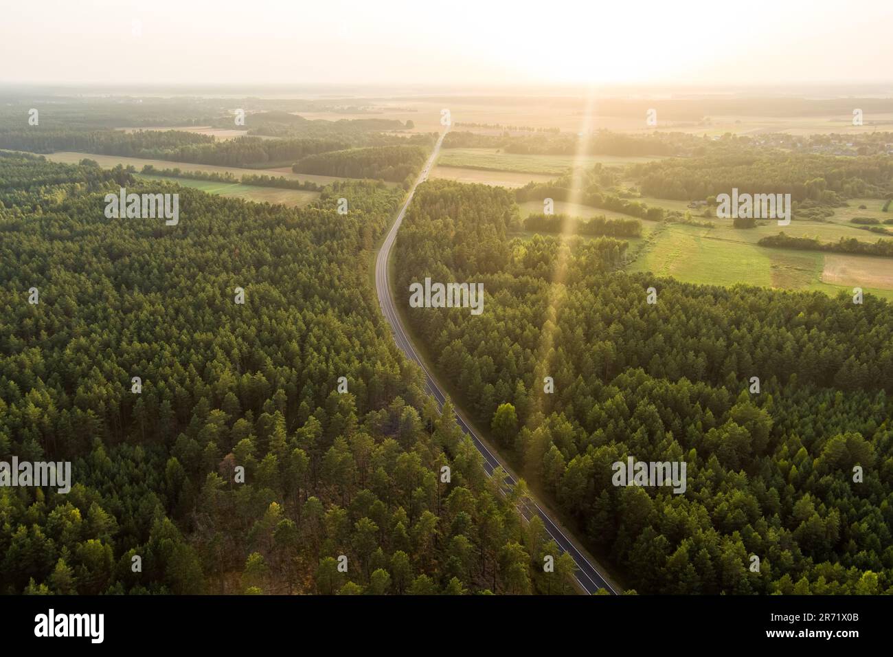 Aerial top down view of summer forest with two-lane road among pine ...