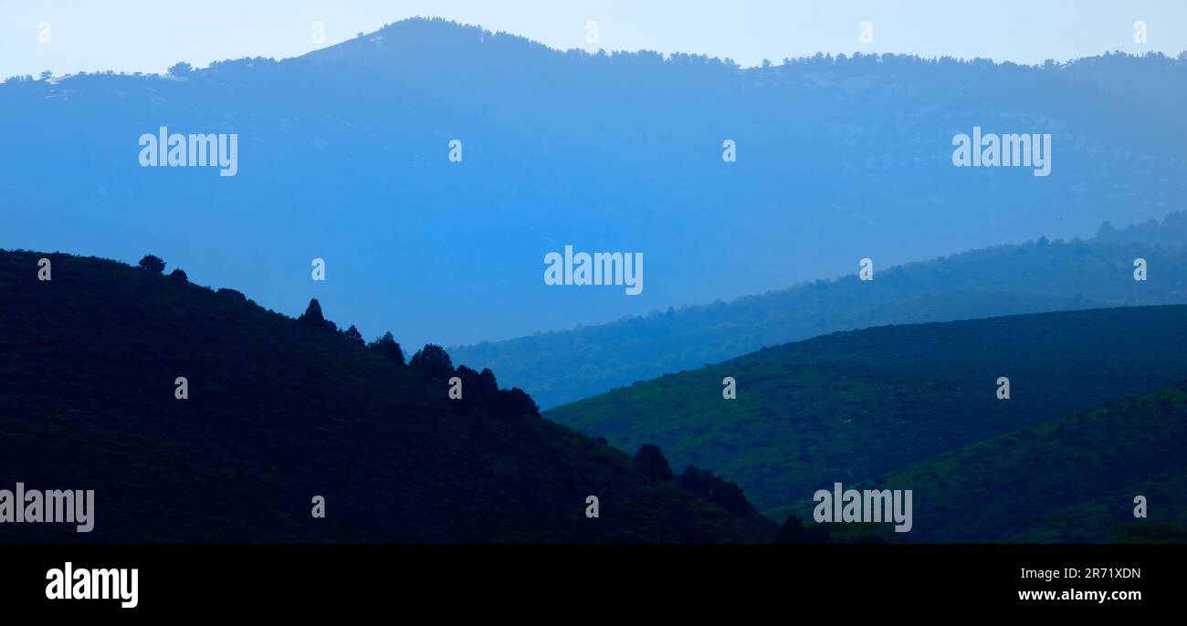 Layers of mountains and pine tree forest in wilderness haze from smoke ...