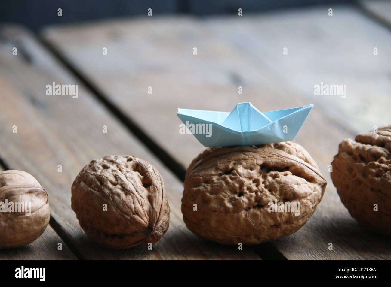 Leadership concept. Nuts and a paper boat Stock Photo - Alamy