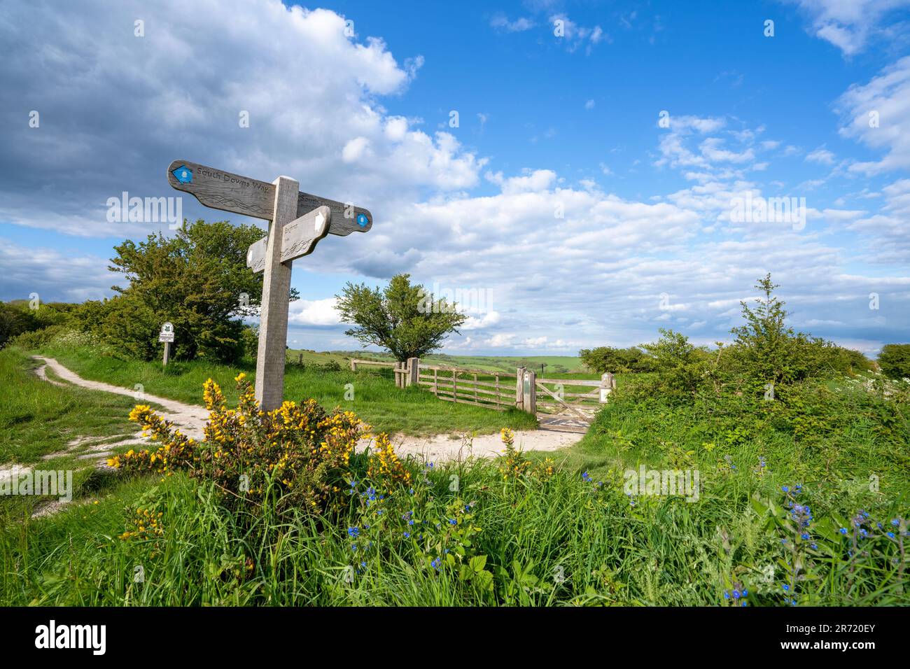 Waymarkers at the Devil's Dyke Estate on the South Downs National Park ...