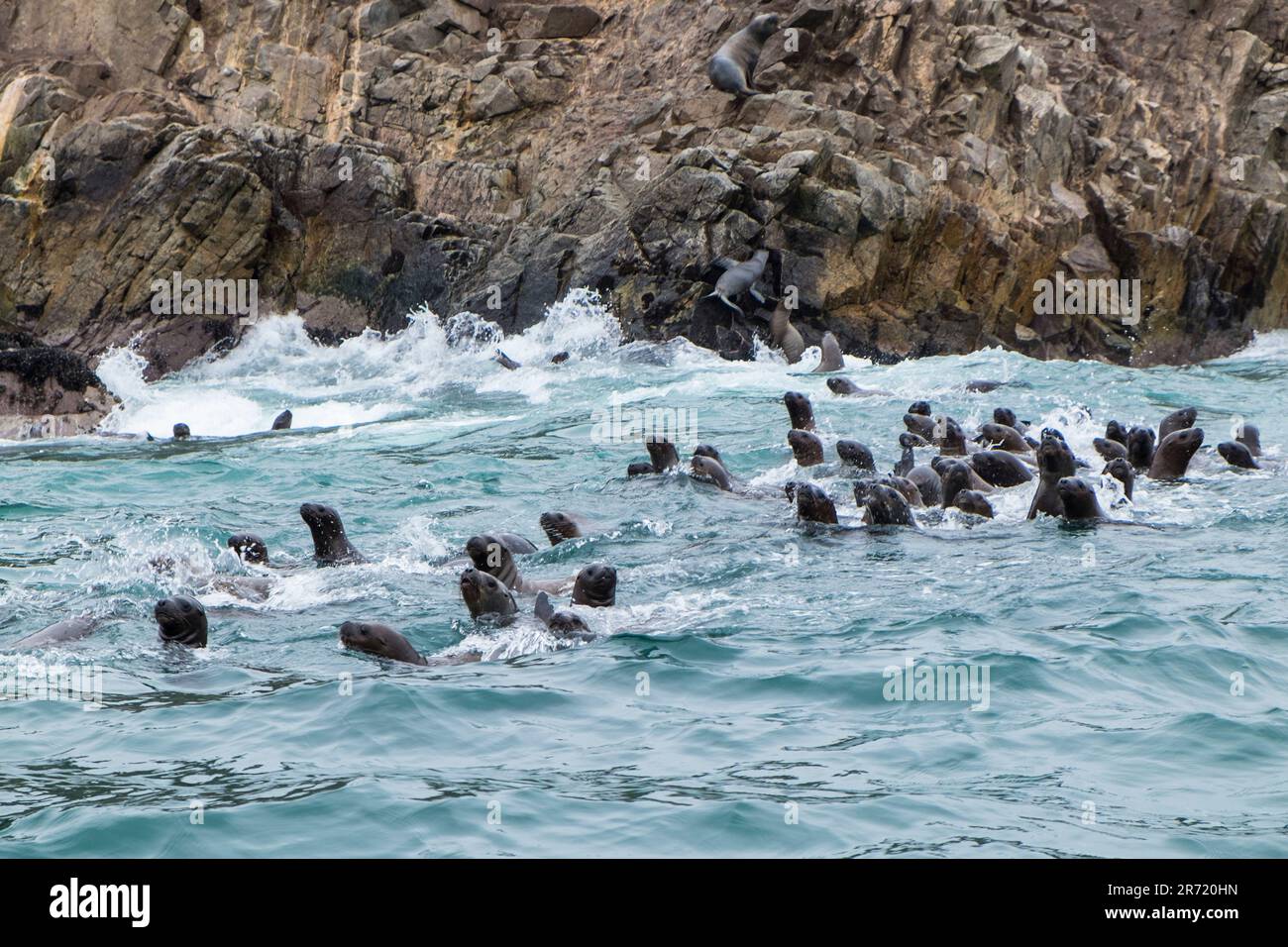 Peru. ballestas islands Stock Photo - Alamy